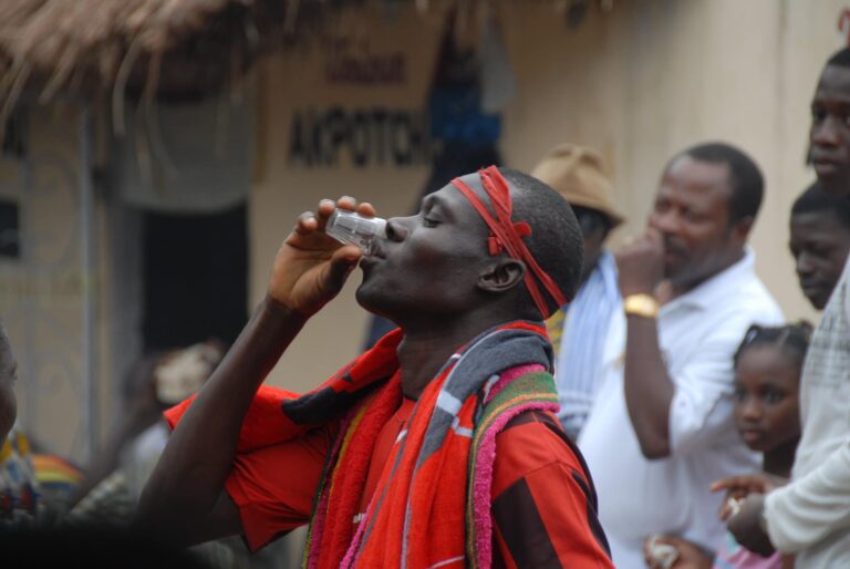 10 boissons du Bénin incontournables | Visiter le Bénin